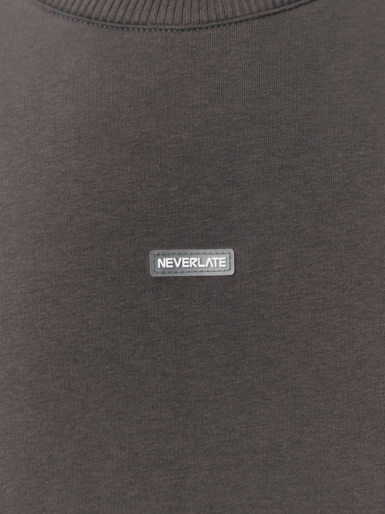 Утепленный свитшот NEVERLATE Серый цвет — купить за 3391 руб. со скидкой 15 %, отзывы в интернет ...