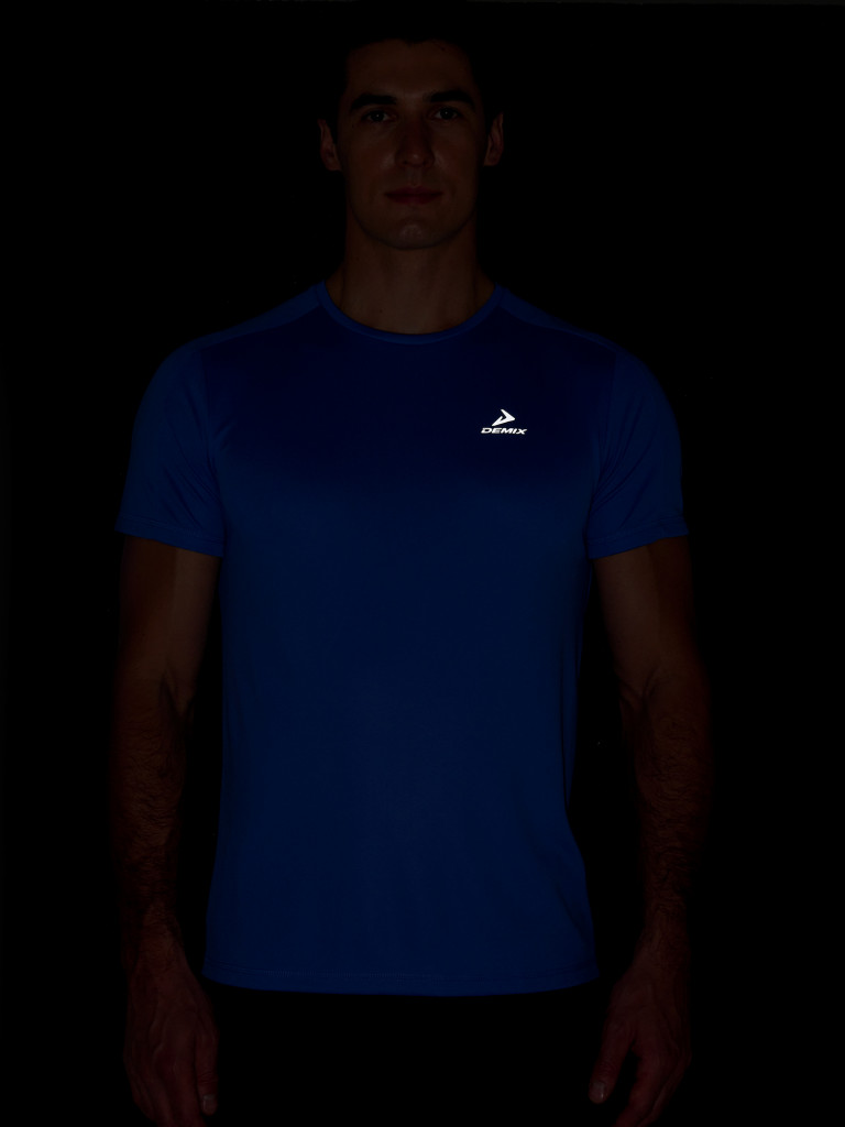 Футболка мужская Demix Baseline Running арт. 130171 васильковый цвет ...