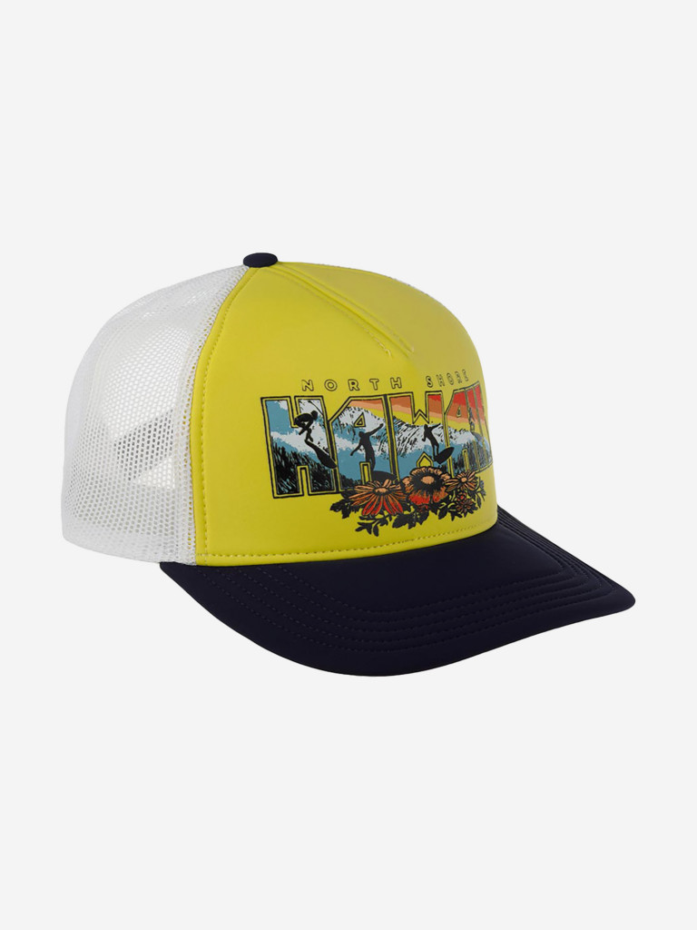 Бейсболка с сеточкой AMERICAN NEEDLE 44960A-HAWA Hawaii Riptide Valin ...
