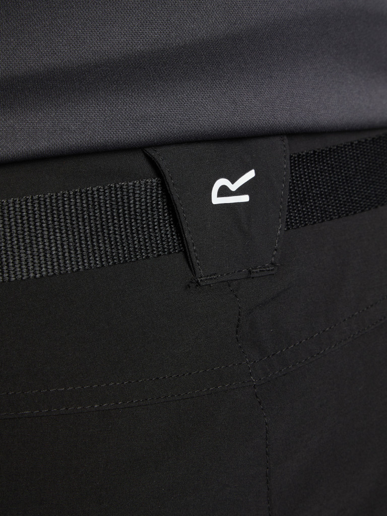 Брюки мужские Regatta Xert Stretch арт. RMJ237 черный цвет — купить за ...