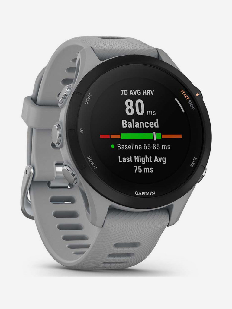 Спортивные часы Garmin Forerunner 255S Powder Grey со светло-серым ...