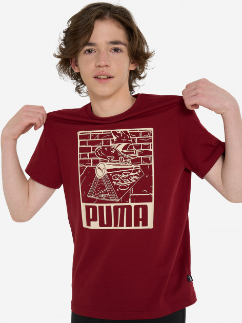 Футболка для мальчиков PUMA ESS+ Mid 90s Graphic арт. 681873 темно ...