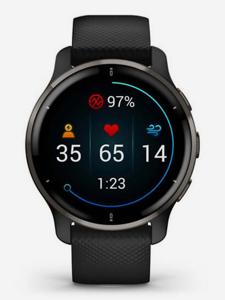 Спортивные наручные часы Garmin Venu 2 Plus Black Slate арт. 010-02496 ...