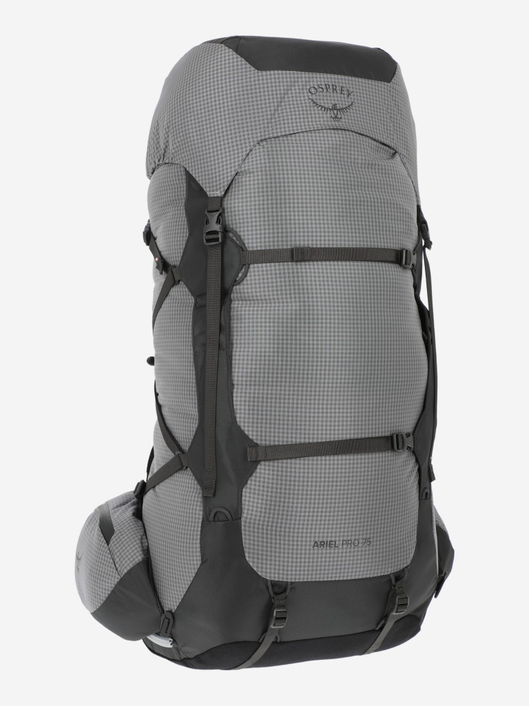Рюкзак Osprey Aether Pro, 75 л арт. 10005841 серебряный цвет — купить ...