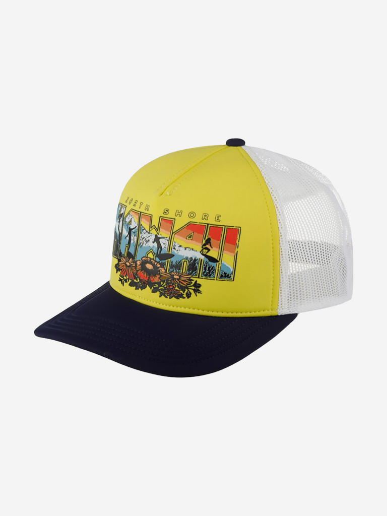Бейсболка с сеточкой AMERICAN NEEDLE 44960A-HAWA Hawaii Riptide Valin ...